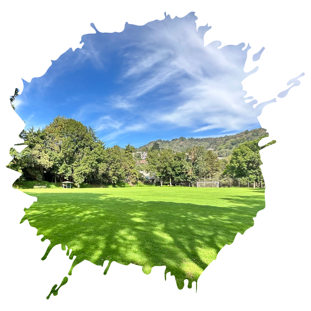 MEMBRESIAS – Club Monte Sur